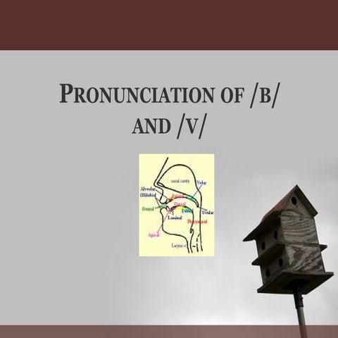 Pronunciation of b And v | PPT