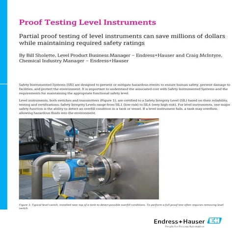 E+H - Proof testing level instruments | PDF