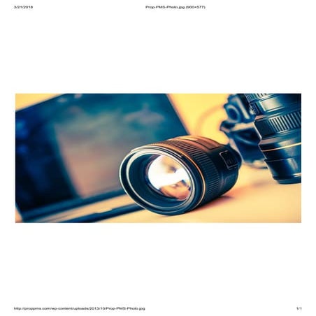 Prop pms-photo | PDF