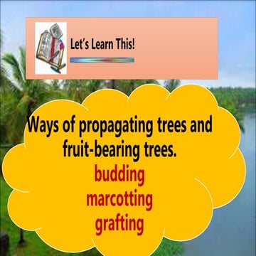 Grade 6 Agriculture Plant Propagation.pptx