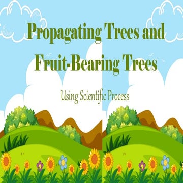 Grade 6 Agriculture Plant Propagation.pptx