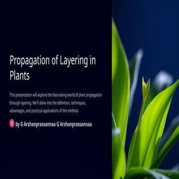 Propagation-of-Layering-in-Plants.pptx... | PPT