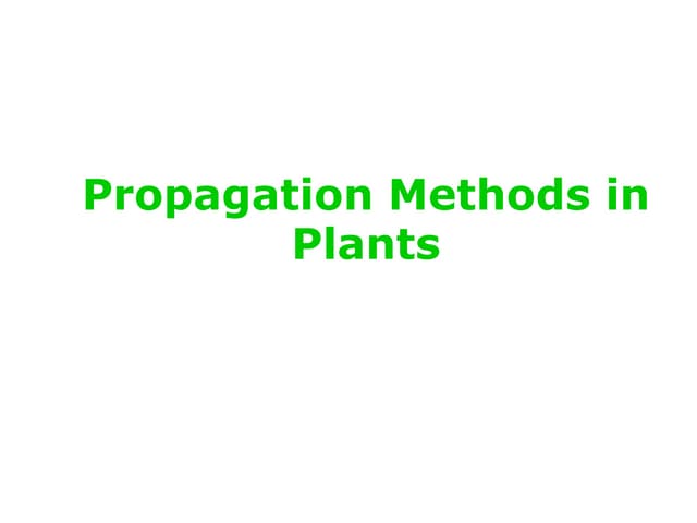 Preparation of seed bed | PPTX | Agriculture | Industries