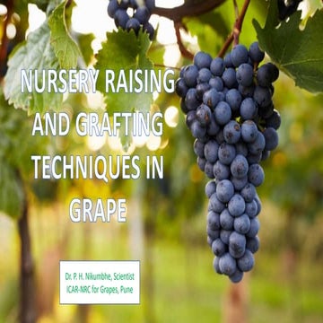 Propagation of Grape and Nursery Dr. P H Nikumbhe.pptx