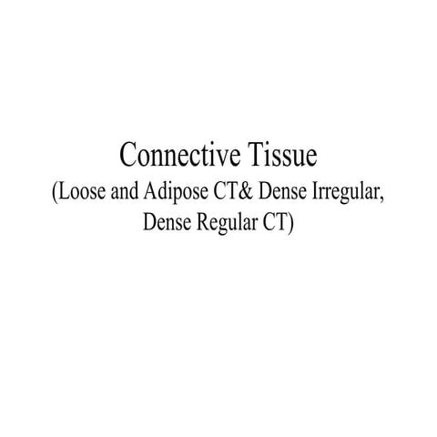 Proper Connective Tissue histology class | PPT