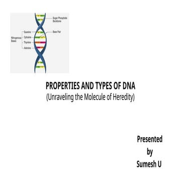 Properties and Types of DNA_20251109_124249_0000.pptx