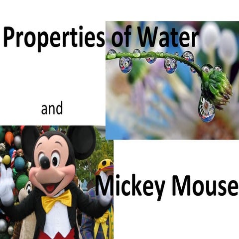 Properties Of Water | PPT