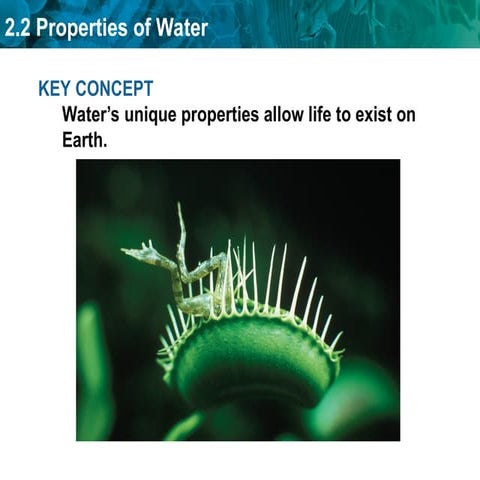 properties_of_water_notes.ppt hhfhfebbbvg | PPT