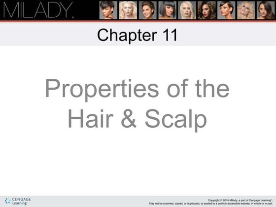 Physical changes that take place within hair structure when styling ...