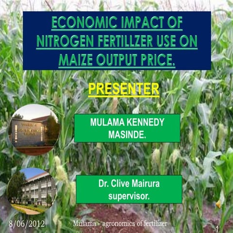 Economic analysis of fertilizer options for maize production in ...
