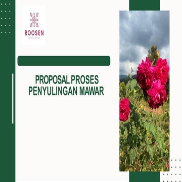 PROPOSAL PROSES PENYULINGAN BUNGA MAWAR.pptx