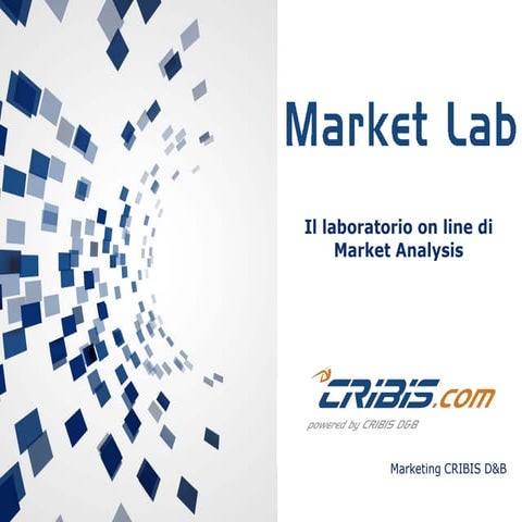Market Lab - Il tuo laboratorio di analisi on line | PPT