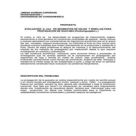 1b 4 agr (cilantrillo plateado) | DOCX
