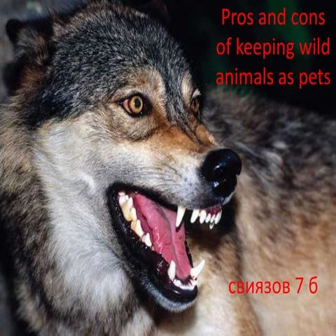 Pros and cons of keeping wild animals as pets. | PPT