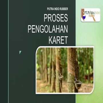 PROSES PENGOLAHAN KARET.pptx