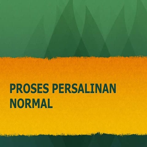 Proses persalinan normal | PPTX