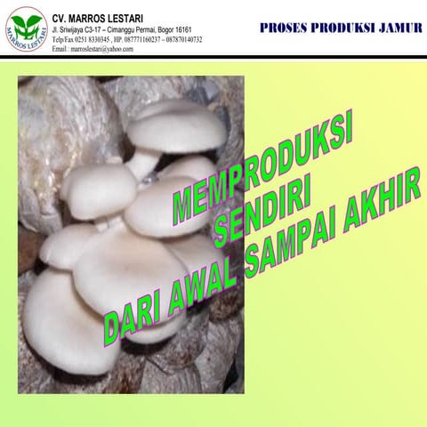 PROSES PRODUKSI JAMUR TIRAM | PPT
