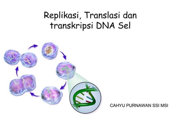 Ppt replikasi DNA | PPTX