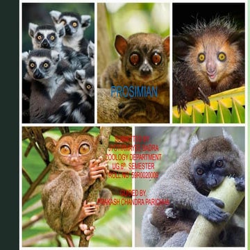 Prosimian.pptx