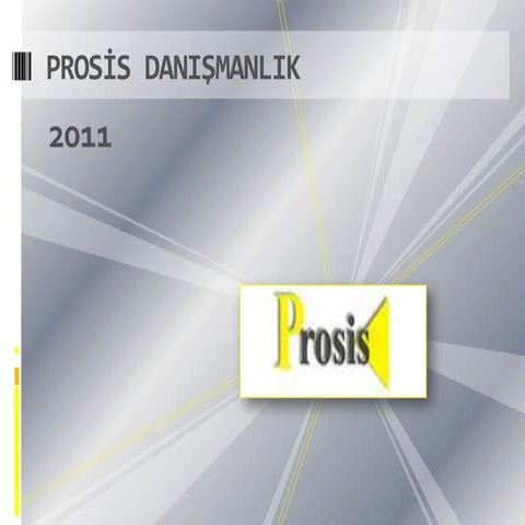 Prosis Consultancy Hr+Productivity20110818 | PPT
