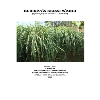 Prospek serai wangi | PDF
