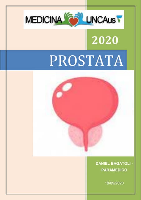 Próstata: Anatomía | PPT