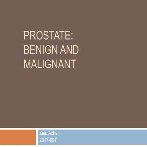 Prostate ultrasound (basic) | PPTX