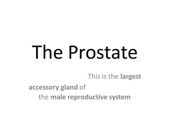 Urinary bladder (Anatomy) | PPT