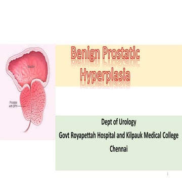 Prostate Benign Prostatic Hyperplasia(BPH)- overview | PDF | Sexual ...