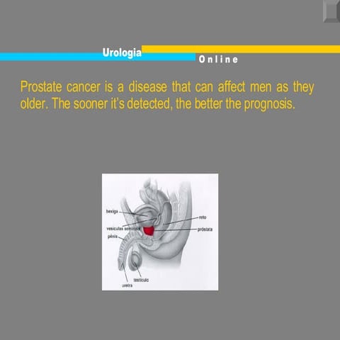 Prostate Exam | PPS