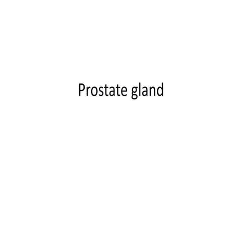 Prostate gland.pptx human anatomy human anatomy | PPTX