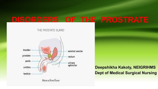 Prostatitis Pptx