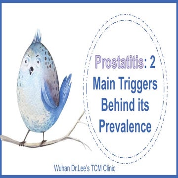 Prostatitis: Explained Symptoms, Causes, & Treatment Guide | PPTX