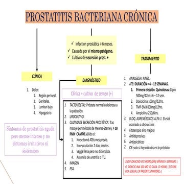 Prostatitis AGUDA Y CRONICO. DX Y TRATAMIENTO | PPTX