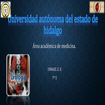 Prostatitis Pptx