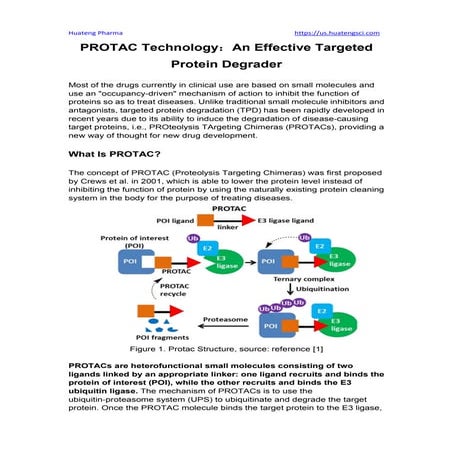 PROTAC Technology： An Effective Targeted Protein Degrader.pdf