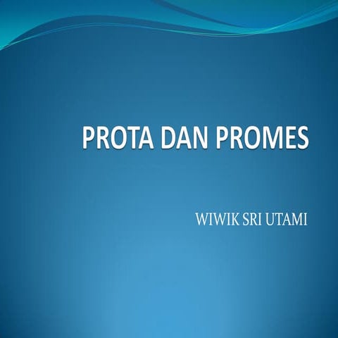 Handout | Prota dan promes | PDF
