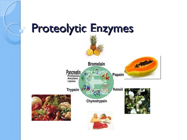 Enzymes in meat industry | PPTX