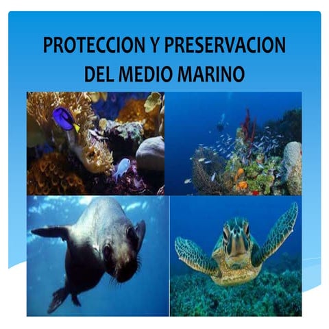 Proteccion y preservacion del medio marino johana | PPTX
