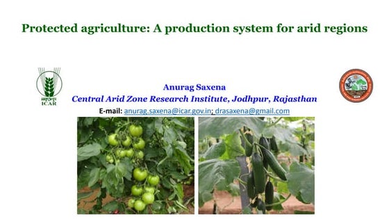 optimum planting geometry and population | PPT