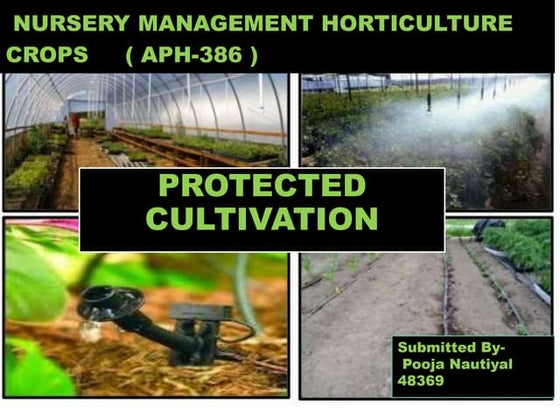 Planting system of fruit crops | PPT
