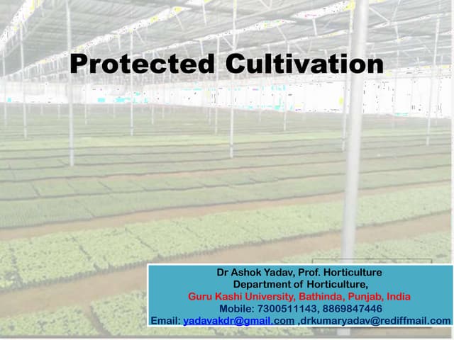 Protected cultivation, importance & scope, status in india | PPTX