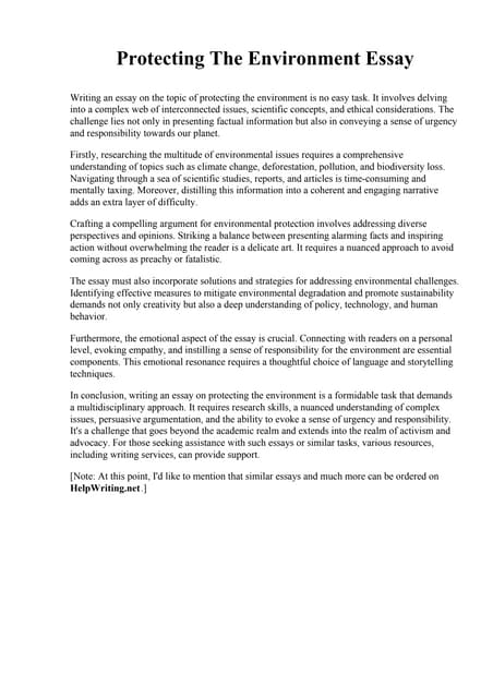 Essay On Sustainability | PDF