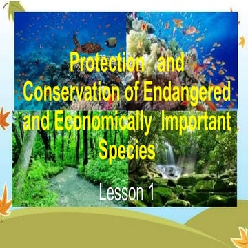 Protection and Conservation of Endangered and Economically Important ...