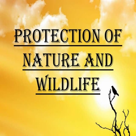 Wildlife Conservation | PPTX