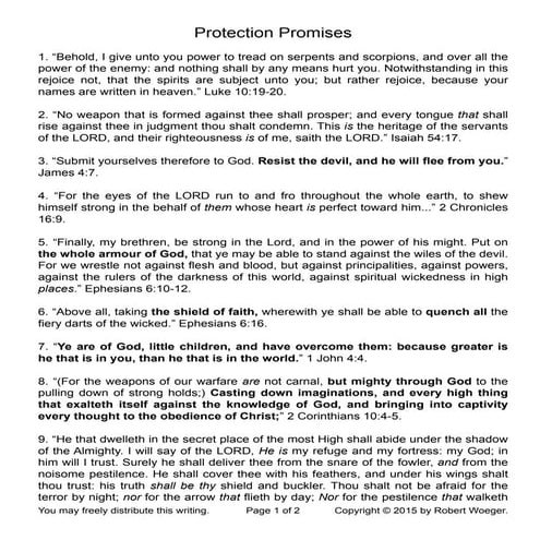 Protection Promises | PDF