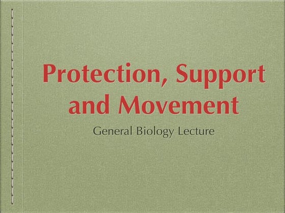 Insect integument - Entomology | PPT