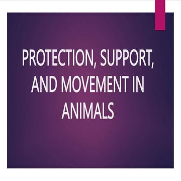 PROTECTION, SUPPORT, AND MOVEMENT IN ANIMALS.pptx
