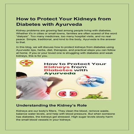 Protect Kidneys from Diabetes Naturally with Ayurveda at HiiMS.ppt