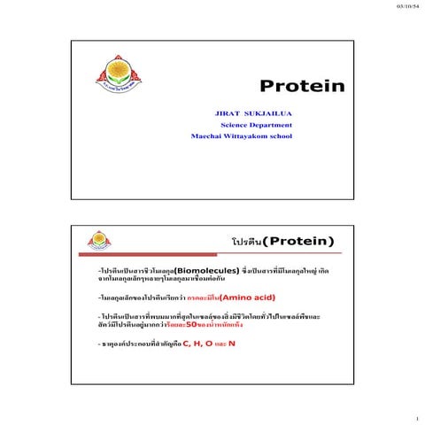 Protein | PDF